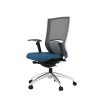 Xenic Seating: Ergonomic Chairs - Where Comfort Meets Style